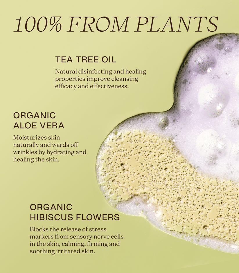 Natural Organic Body Wash | Sulfate-Free Body Care